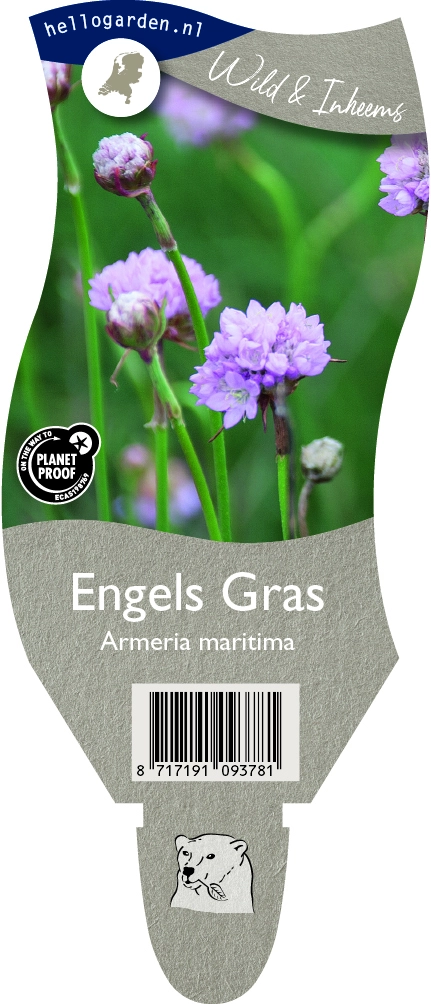 Engels Gras - Tuincentrum Tullekensmolen Beekbergen
